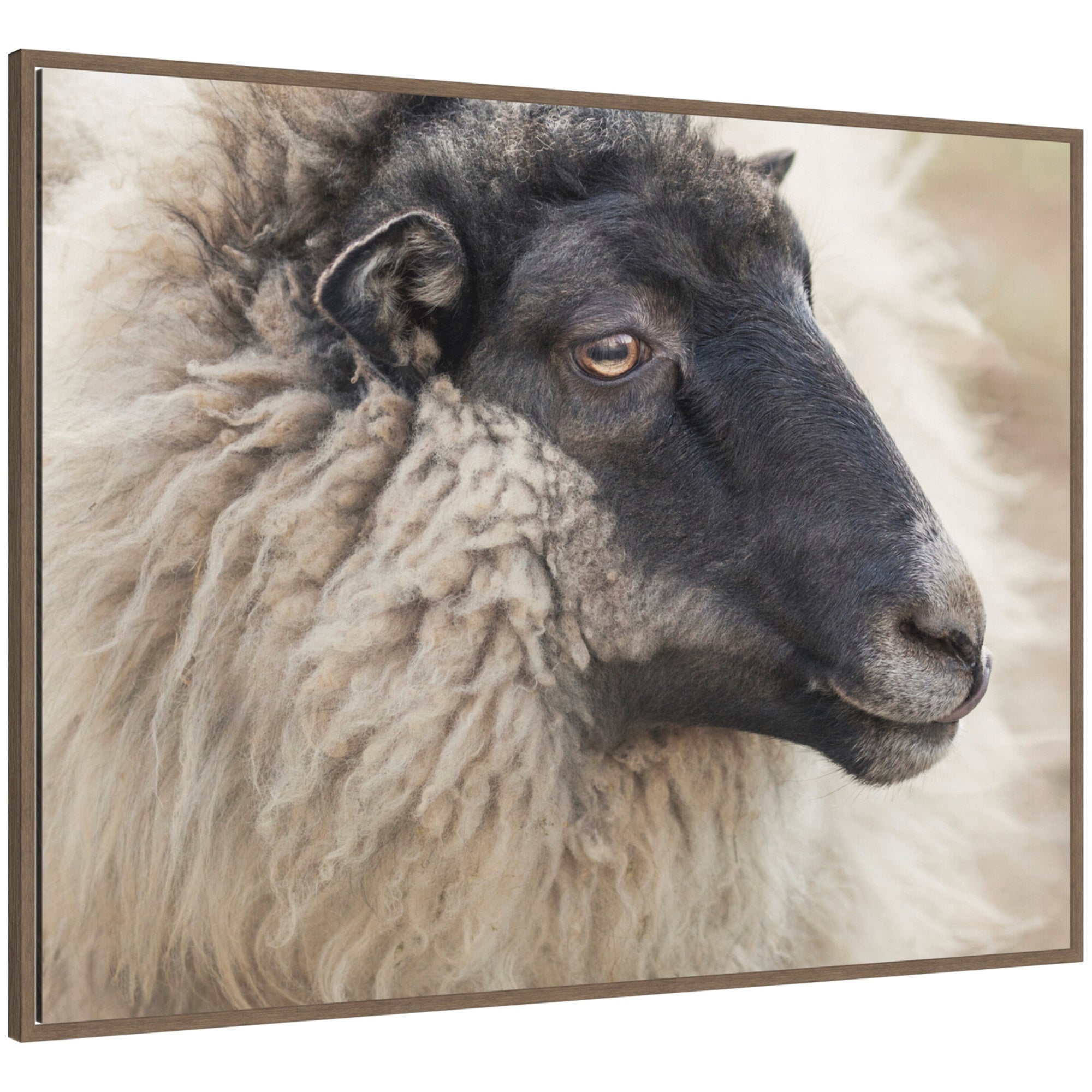 Edward Crop by Emiko and Mark Franzen F2 Images Framed Canvas Wall Art ...