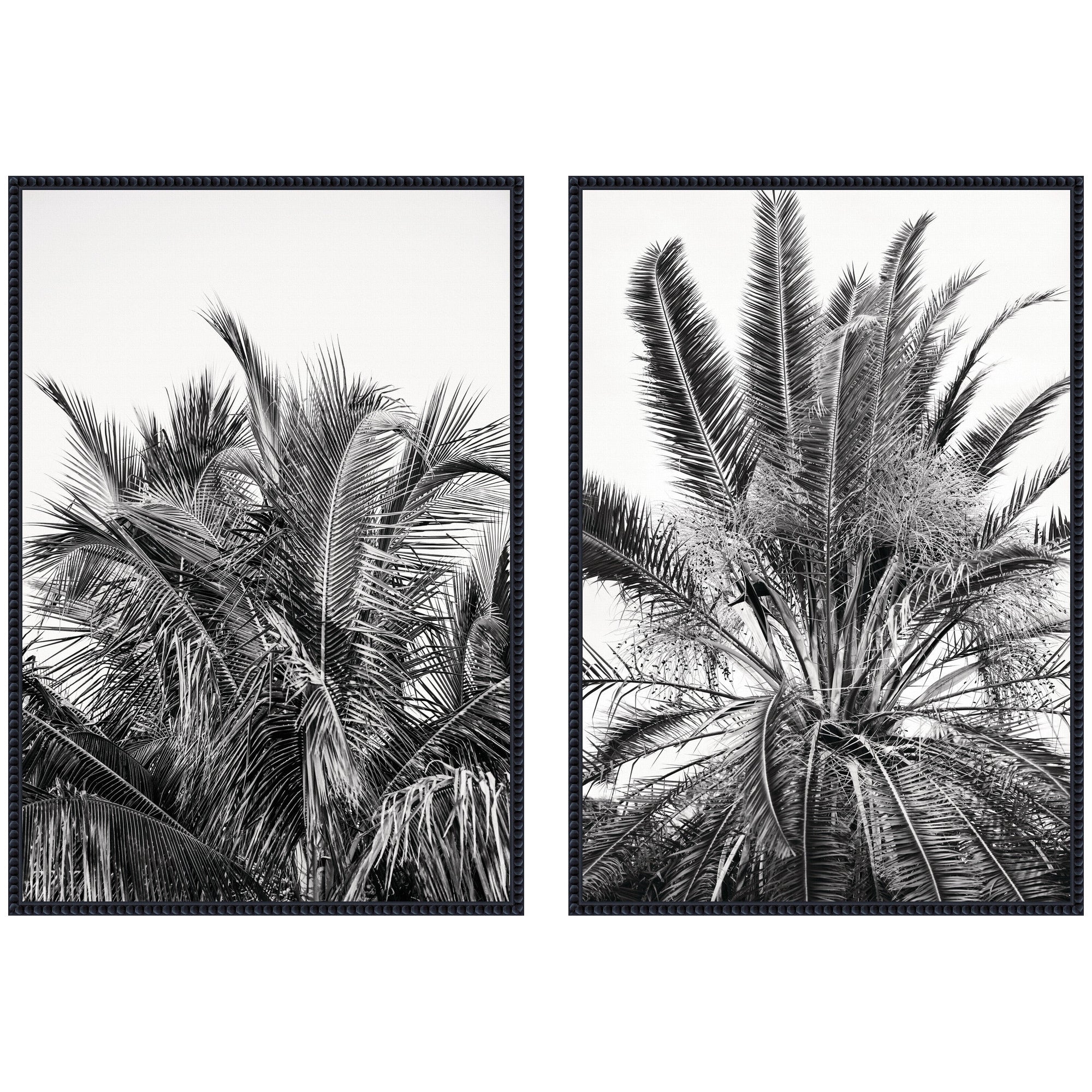 Palms No. 13 & No.15 2 Piece Framed Canvas Wall Art Set by Alicia Bock ...