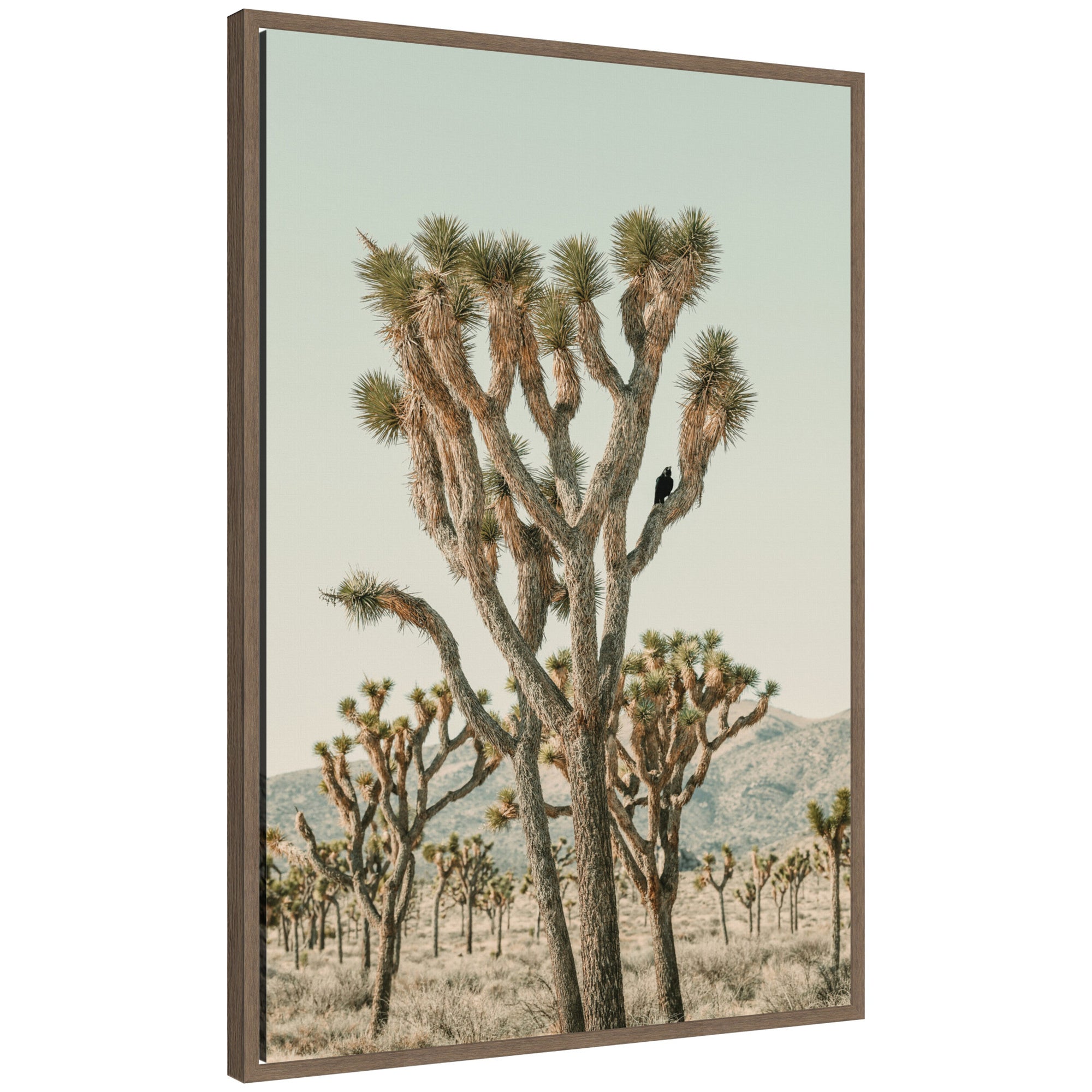 Joshua Tree With Crow by Alicia Bock Framed Canvas Wall Art Print ...